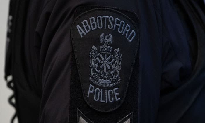 Driver dies after fleeing police and crashing into tree in Abbotsford ...